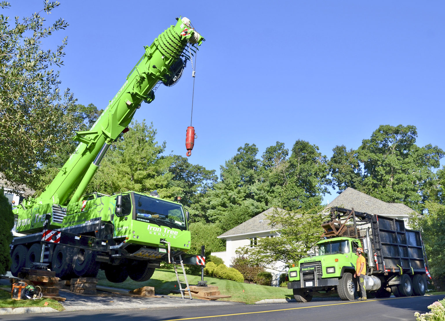Land & Lot Clearing | Iron Tree Services